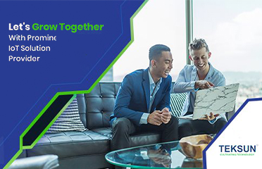 IoT Security Solutions for IoT Devices | Teksun Inc